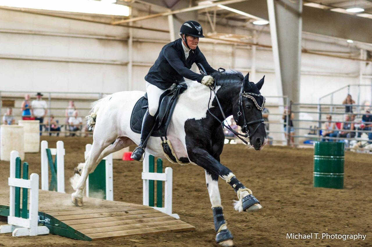 USA Working Equitation