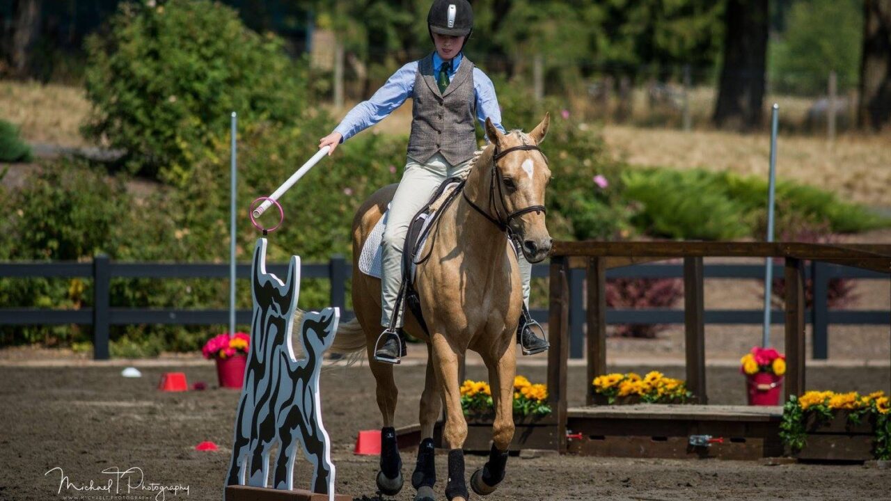 World Association of Working Equitation - USA Working Equitation