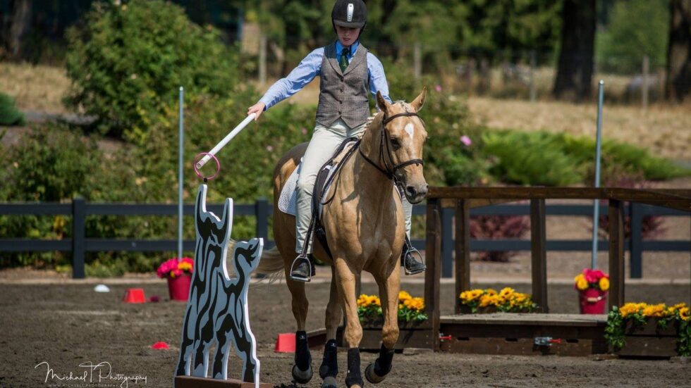 World Association of Working Equitation - USA Working Equitation