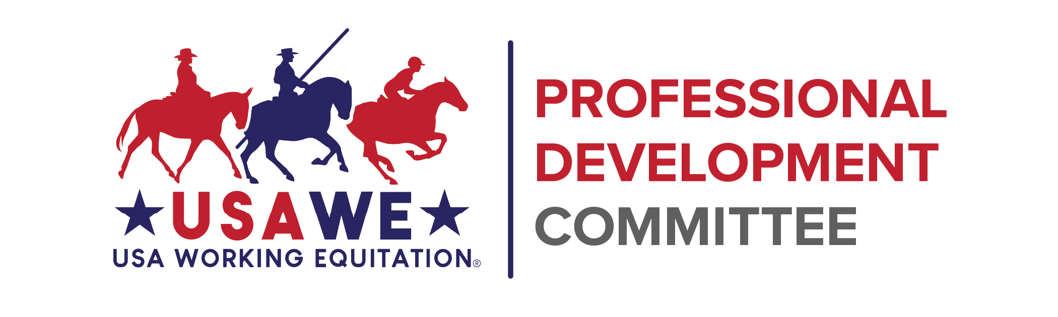 April 2025 Professional Development Committee News - USA Working Equitation
